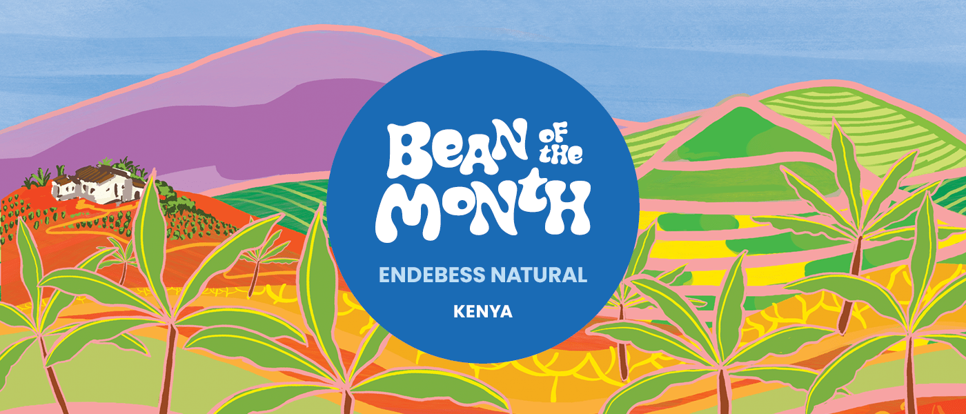 KENYA ENDEBESS | January 2026 | Merlo Coffee