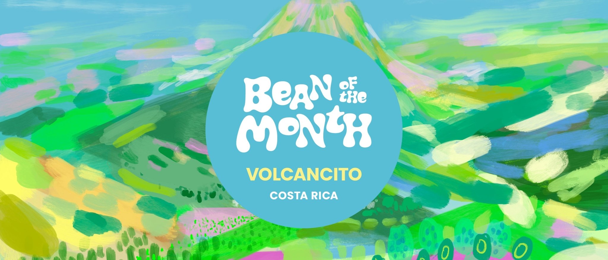 COSTA RICA VOLCANCITO | November 2024 – Merlo Coffee