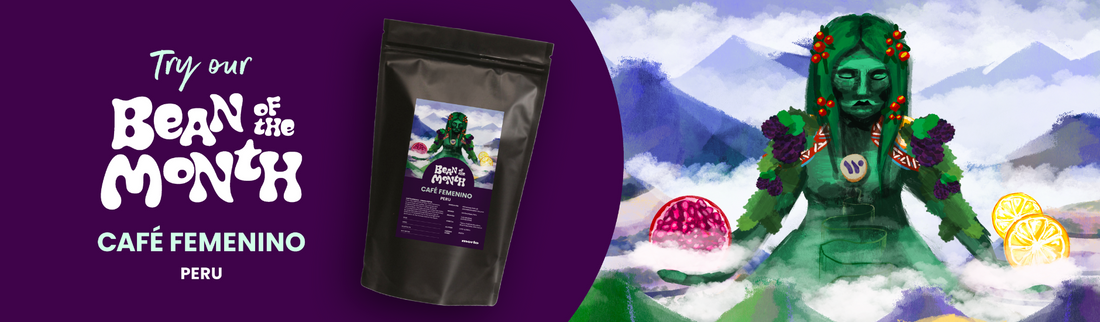 Merlo Coffee | Australia’s Best Rated Coffee Beans