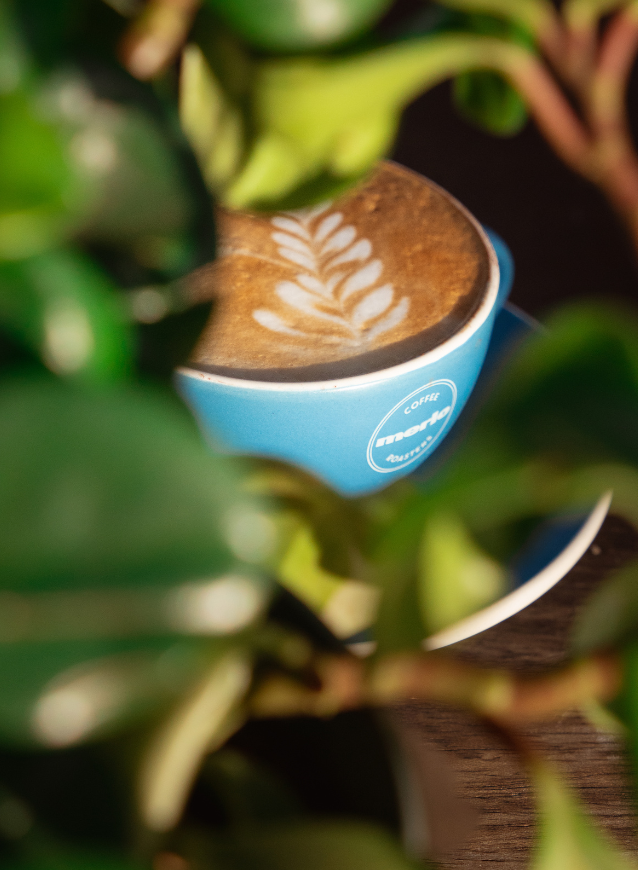 Quality, Sustainable Coffee with BioPak Packaging – Merlo Coffee
