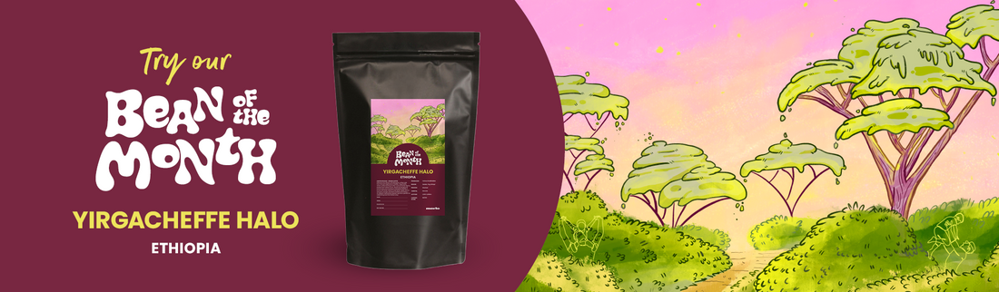 Merlo Coffee | Australia’s Best Rated Coffee Beans