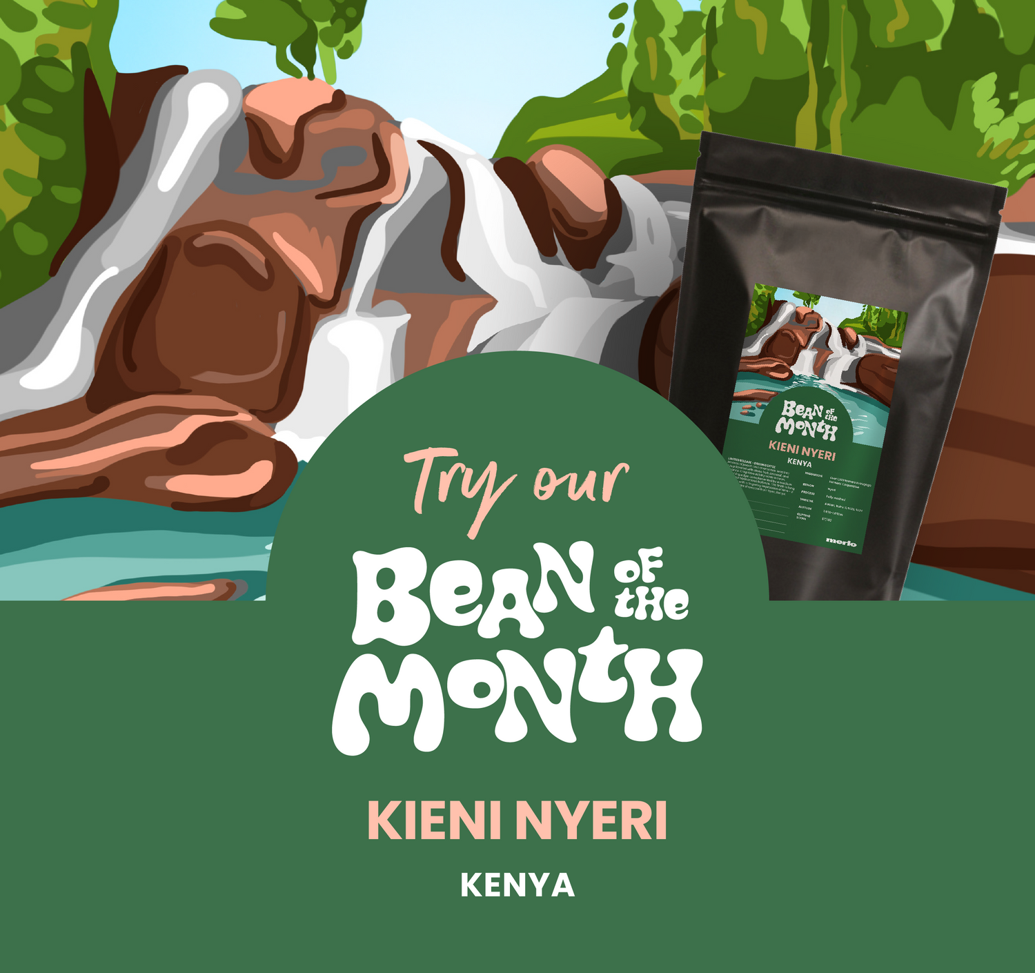 Merlo Coffee | Australia’s Best Rated Coffee Beans